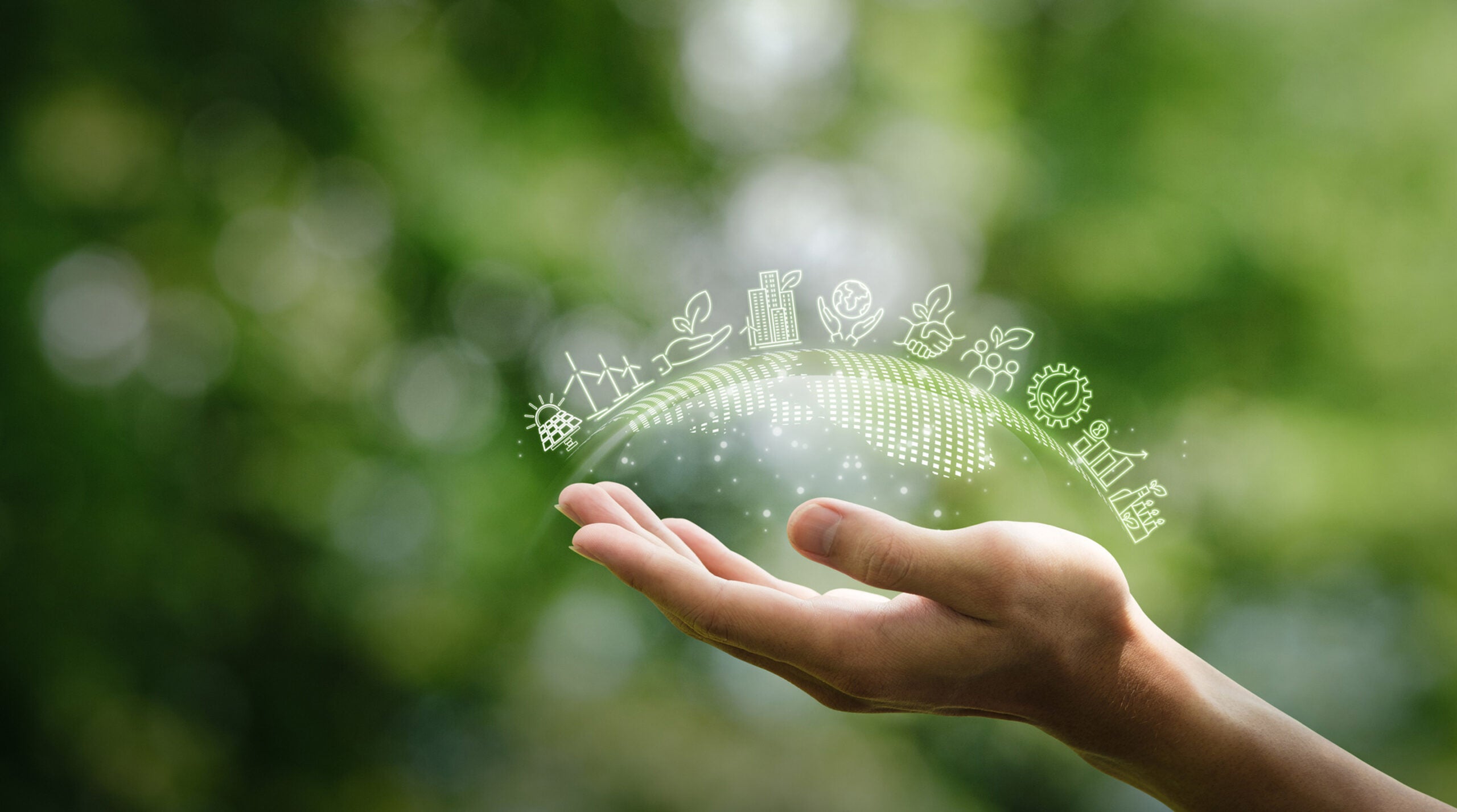 Investing in Sustainability: Addressing the Cost Barrier and Seeking ...